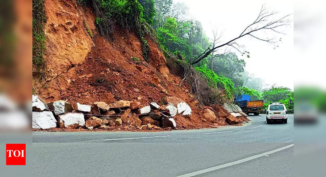 Nilgiris: Why Cut Slopes In The Nilgiris, Activists Ask Highway ...