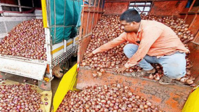 Centre rejects onion traders' demand for export duty slash | Nashik News - Times of India