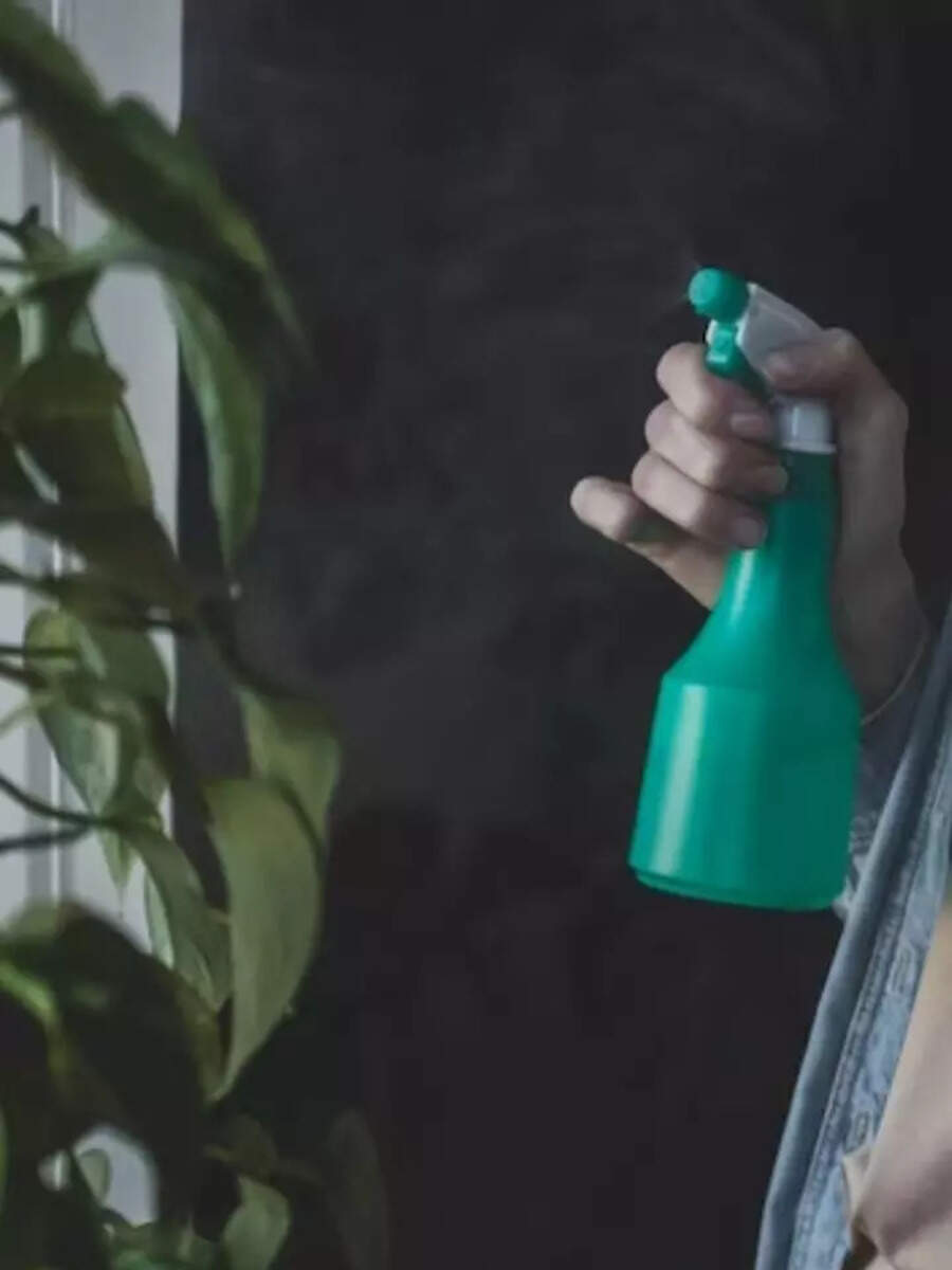 Save Your Garden With These Homemade Insecticides | Times Now