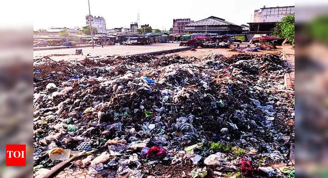 Solid Waste Management: Solid Waste Mgmt: Mc Mulls Seeking Aid From ...