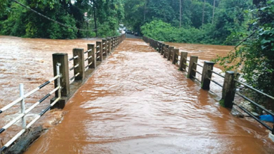 Rivers in spate, roads inundated as very heavy showers lash state | Goa ...