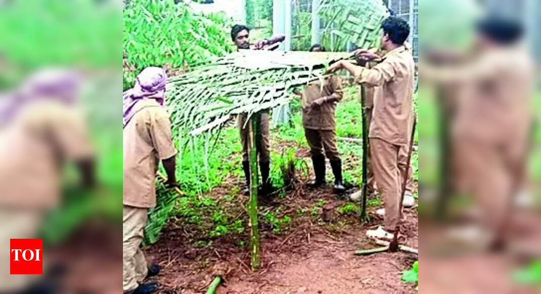 Zoological Park: New Habitat For Thrissur Zoo Animals From Today ...