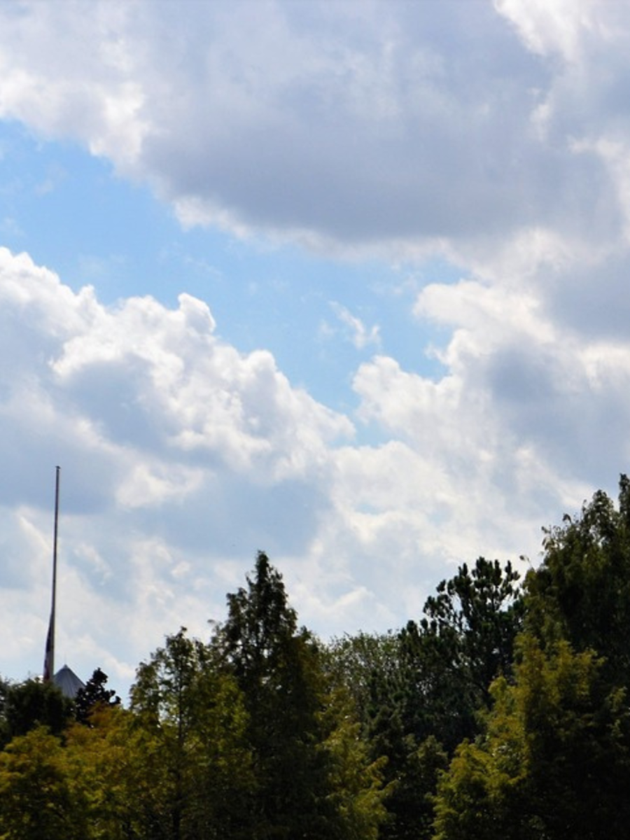 Top 10 Cleanest Cities In India | Times Now