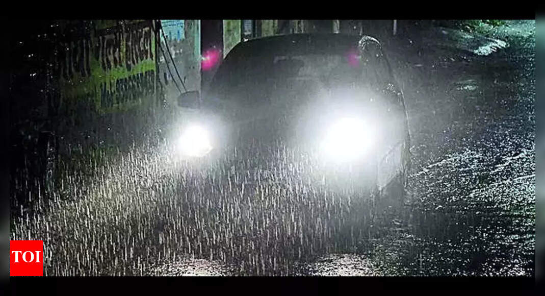 Heavy rain likely in parts of Bihar today: Met dept | Patna News ...