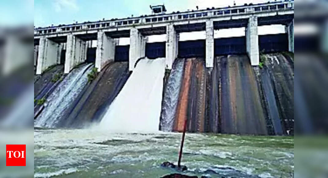 Rise In Water: ‘patratu Dam Gates May Be Opened Any Time’ | Ranchi News ...