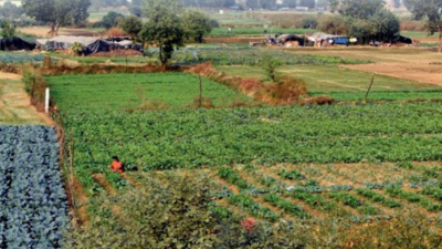 Noida 2.0: Locals won't be displaced but handed jobs in industrial sectors | Noida News - The ...