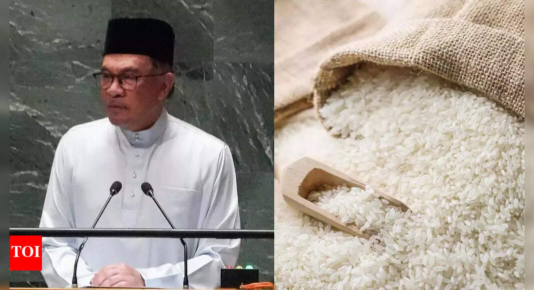 Anwar Ibrahim: Malaysia Prime Minister Anwar Ibrahim threatens action ...