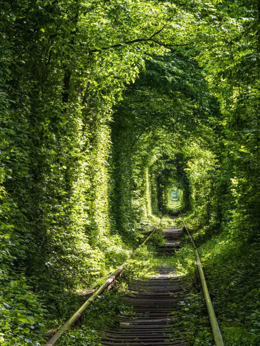 Unusual train journeys to take at least once in life | Times of India
