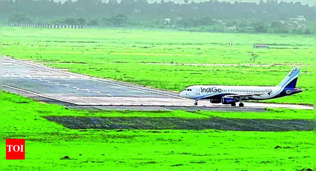 World Cup: 85 Bird Or Animal Hits At Surat Airport In Four Years | Surat News - Times of India