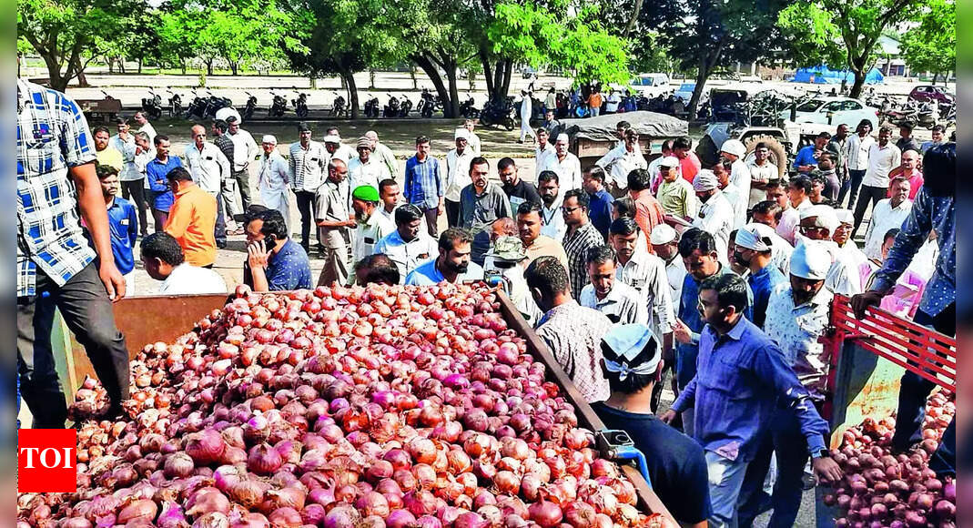 Nashik: Auction Of Onions Resumes At Apmcs In Nashik District | Nashik News - Times of India
