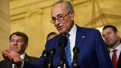 Schumer confirms US Senate trip to China, Japan, South Korea - Times of ...