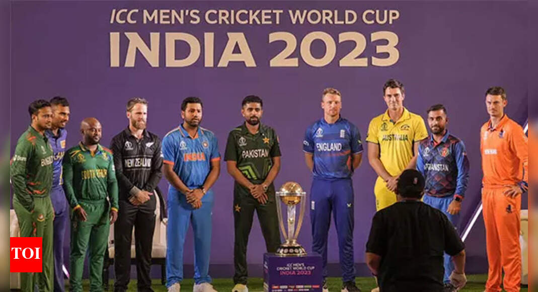 Pricey hotels, packed trains, 3 times the airfare: WC cricket frenzy in ...