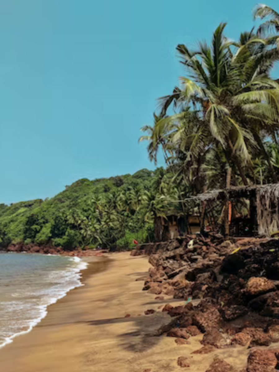 Looking For An Affordable Year-End Escape? Goa Is All You Need | Times Now