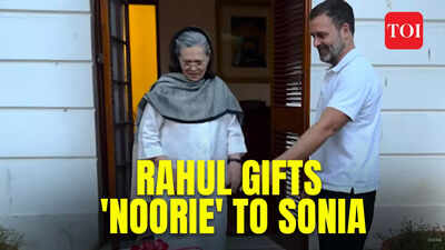 Rahul Gandhi's surprise gift 'Noorie' for mother Sonia Gandhi | India News - Times of India