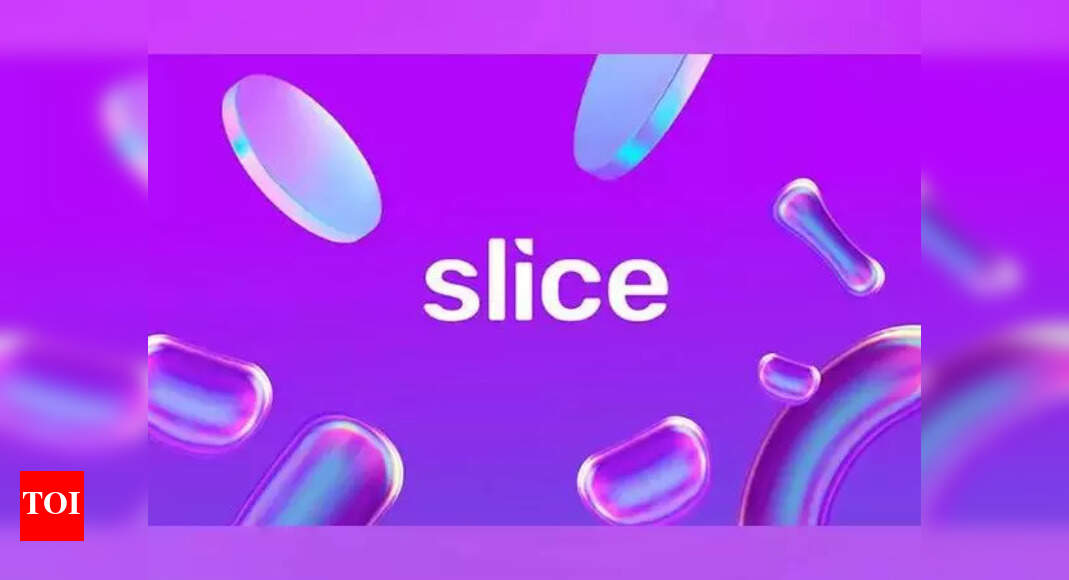 North East Small Finance Bank: Fintech startup Slice to merge with ...