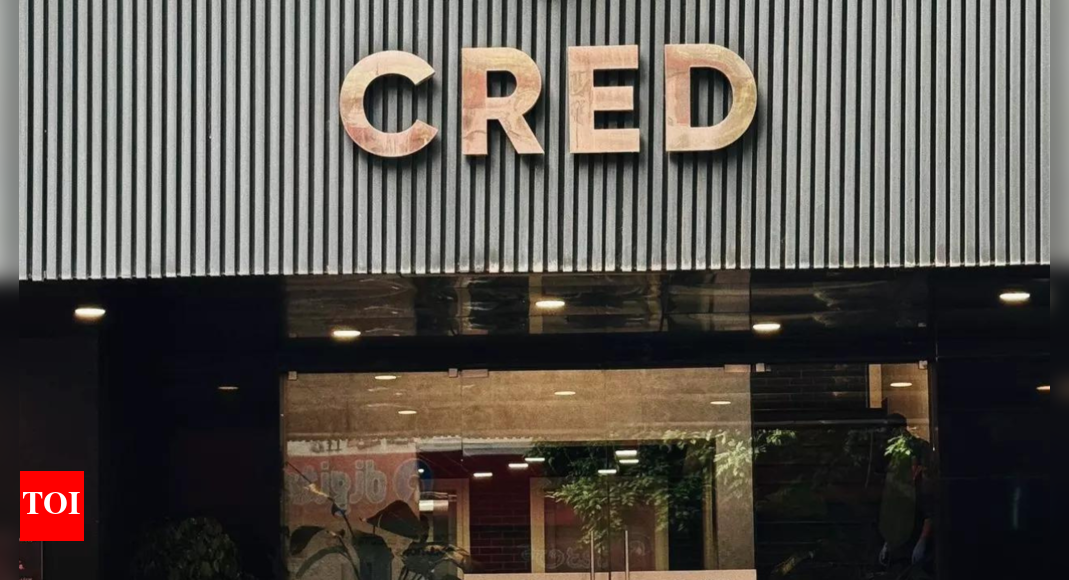 Cred remains in losses; revenues surge substantially in FY23 - Times of ...