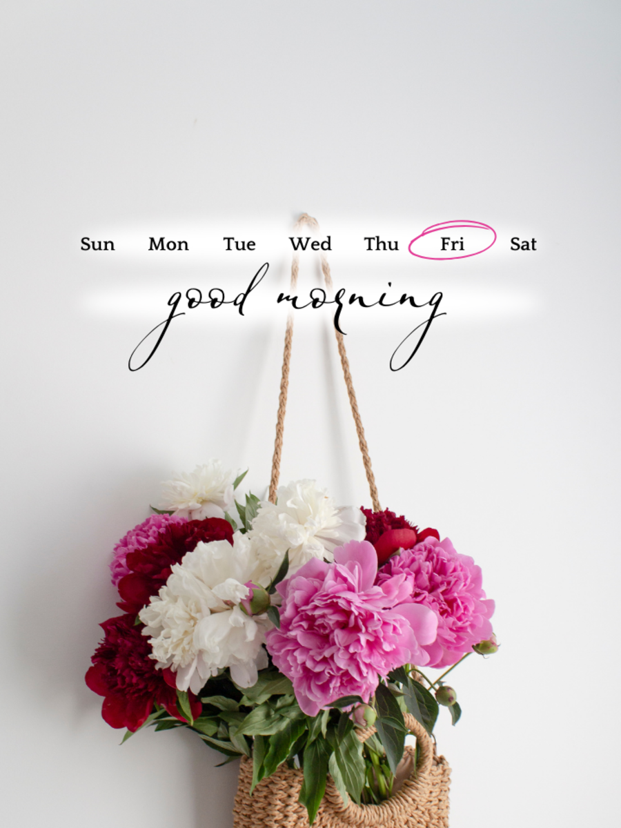 9 Beautiful Good Morning Images To Share This Friday | Times Now