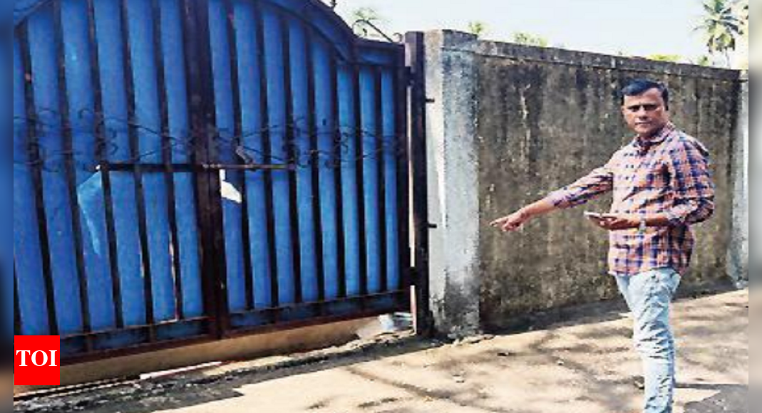 Video shows baby crocodile entering Dadar pool in the dark from gate ...