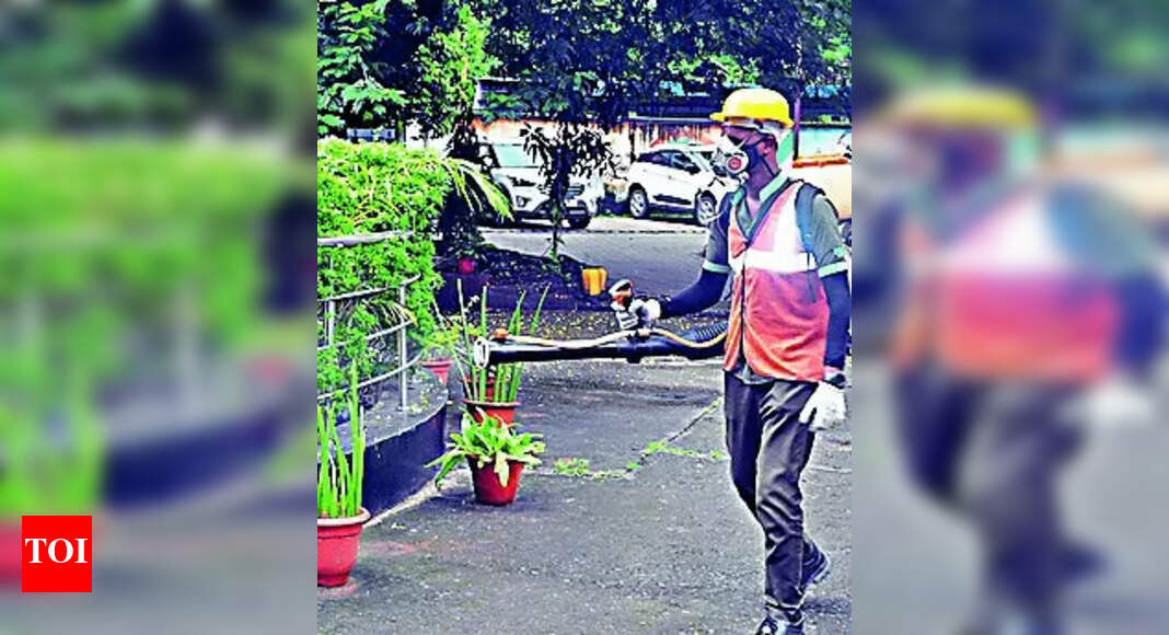 Zambia: Educate Students About Dengue: Dc | Ranchi News - Times of India