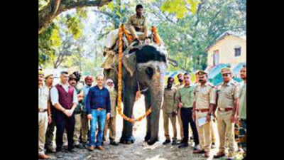 Man-Eaters: Jumbo Gets Teary Send-off After 50 Yrs Of Service In Ctr ...