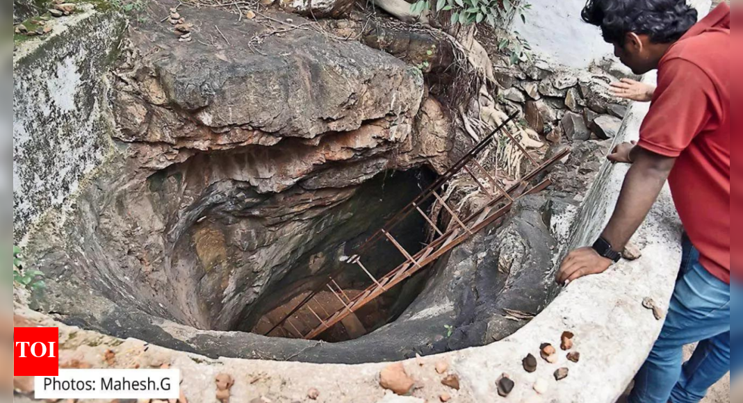 Ashoka's gold mine set for comeback next year | India News - Times of India