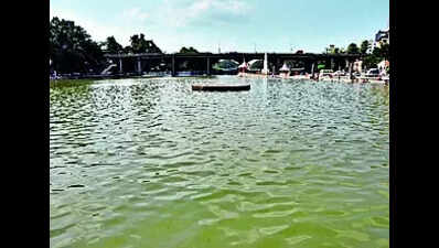 NMC: Boat Services To Restart In Gandhi Talav By Next Month | Nashik ...