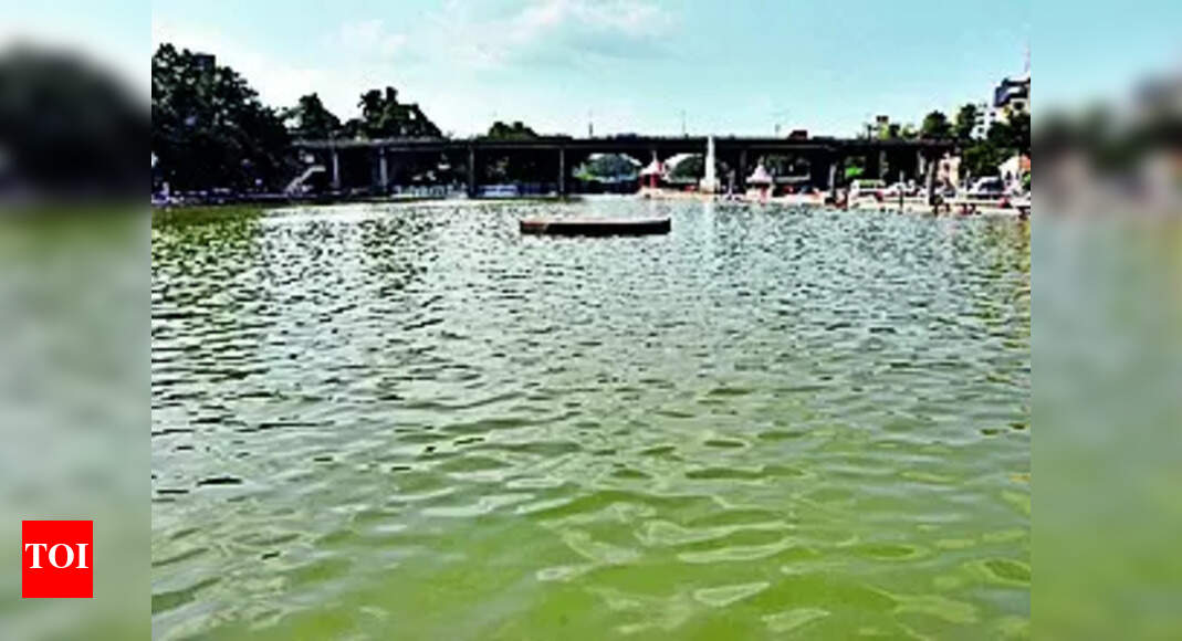 NMC: Boat Services To Restart In Gandhi Talav By Next Month | Nashik ...