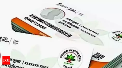 UP makes 6.63L Ayushman cards in a single day | Lucknow News - Times of ...
