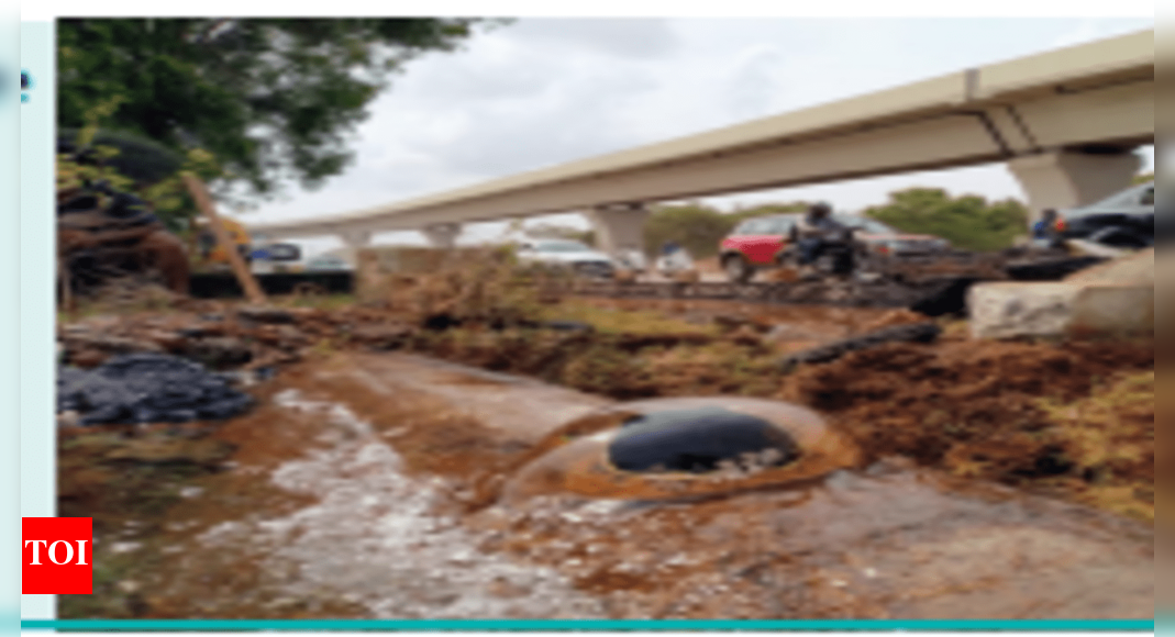 By 2024, Goa will have sufficient water: PWD | Goa News - Times of India