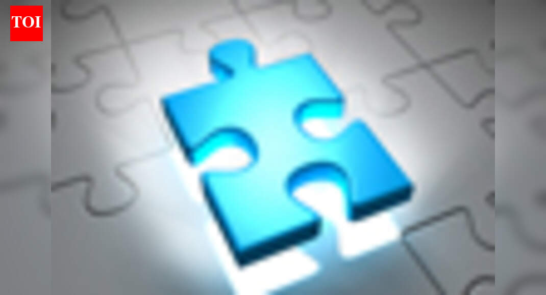 It Industry: CSS plan to list shares in two years: Tiger Ramesh, new ...