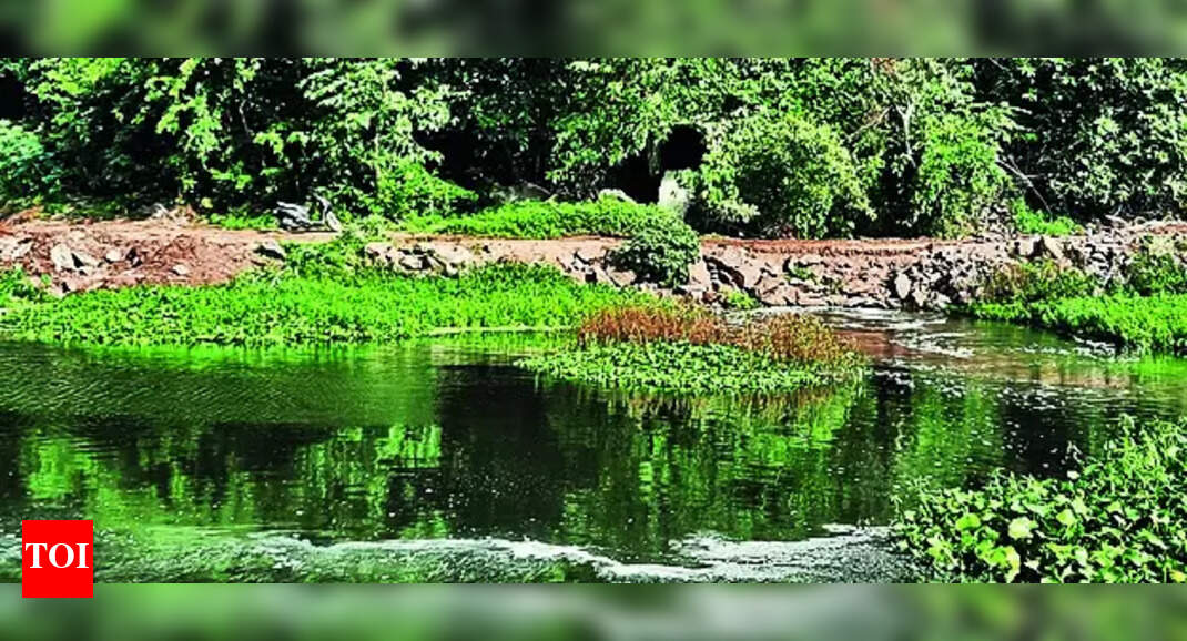 Riverfront Development Project: Naik Bet Excluded From Rfd For Now: Pmc ...