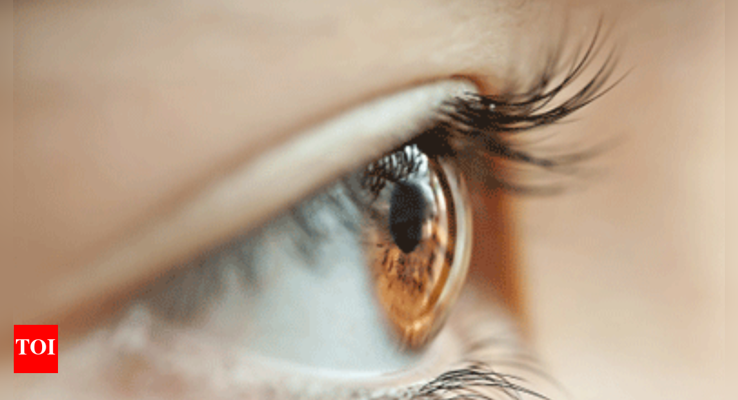 Preventable blindness in focus at 2-day meet of ophthalmologists ...