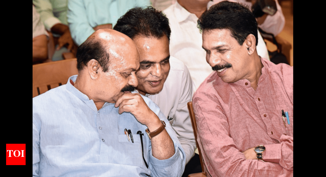 Karnataka BJP chief appointment: Delay breeds infighting, new aspirants ...