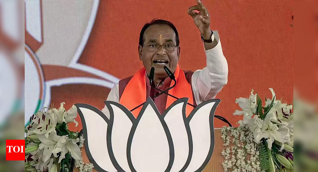 Madhya Pradesh assembly elections 2023: The why and how of creating new ...