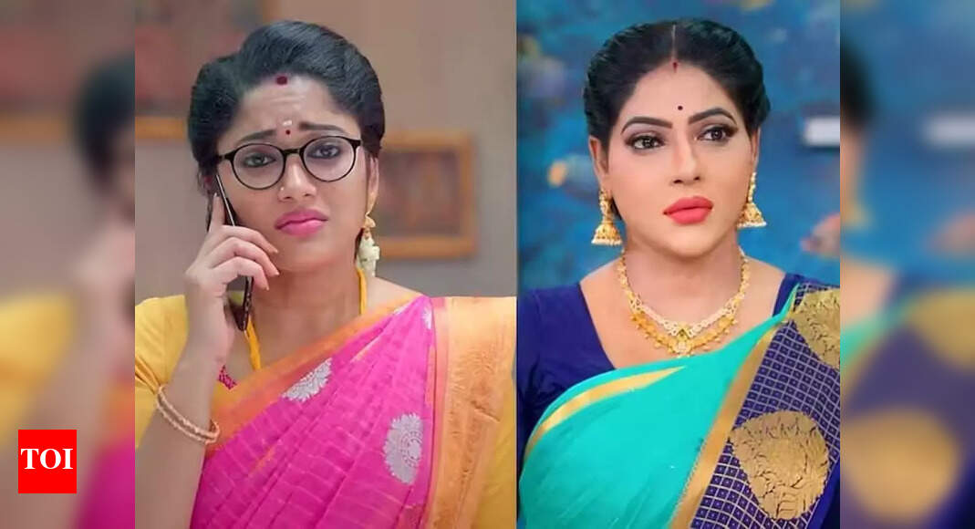 Sitha Raman: Archana plans to buy a 20% share from Ram - Times of India