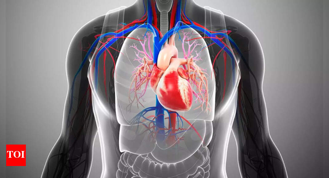 Bodybuilder dies after steambath post-workout, dehydration was the real ...