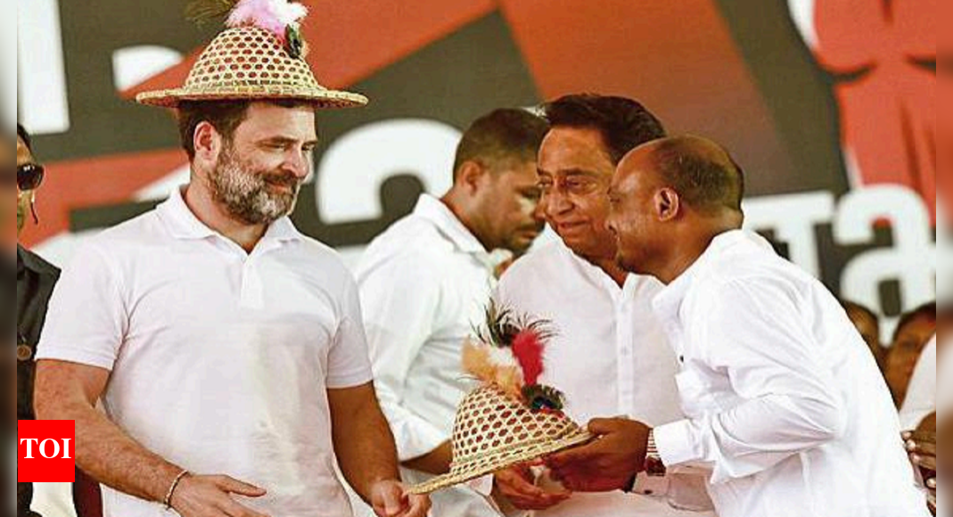 Caste census key to jobs, we'll ensure it: Rahul | Bhopal News - Times ...