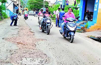 Stray Dog Menace, Potholes, Stagnant Rainwater, Mosquito Breeding ...