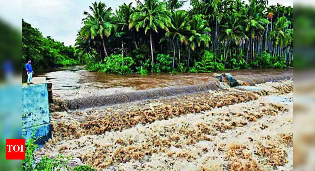 Noyyal Pollution: Cauvery Rejuvenation Project To Address Noyyal ...