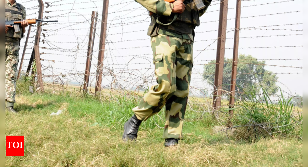 Soldier dies of bullet injury near LoC in J-K's Poonch | India News ...