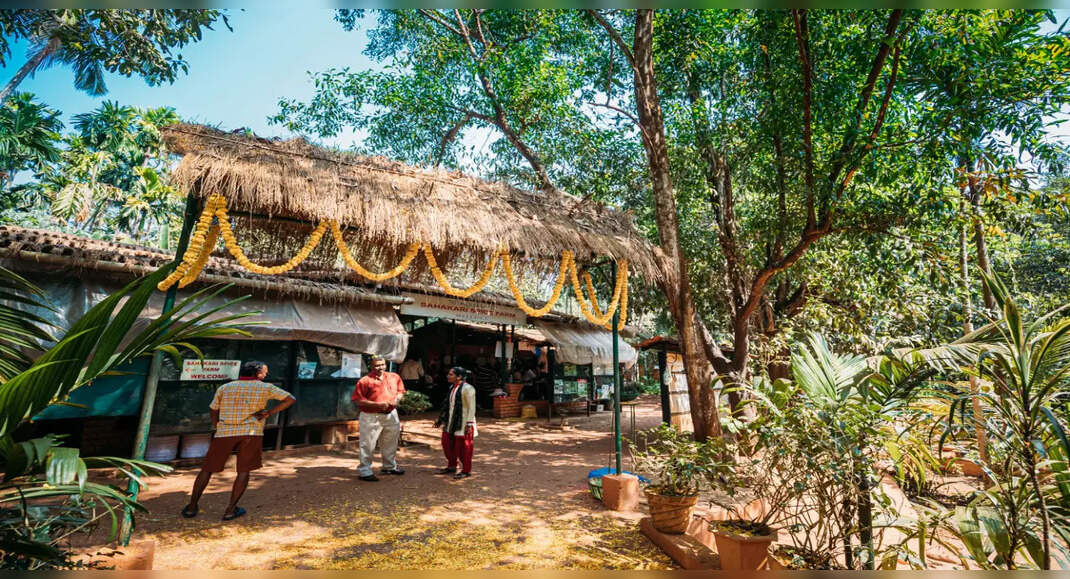 Add spice village tours to your Goa itinerary; here's why | TimesTravel