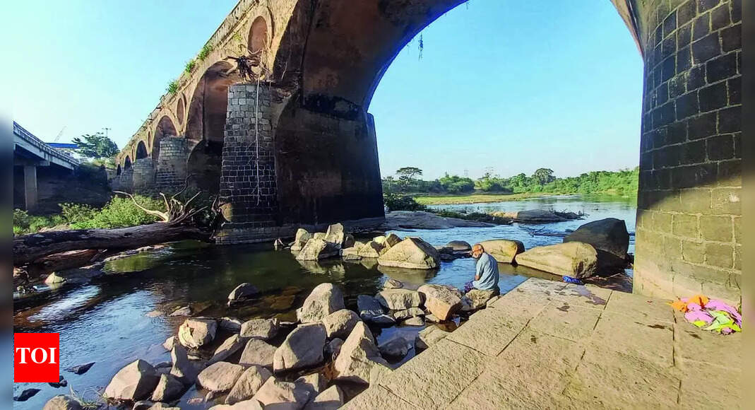 Conservation: Advocates Seek Prez, Pmo’s Help To Restore Old Bridge ...