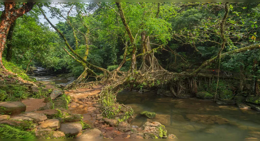 Natural places in India that are on UNESCO Tentative Heritage list ...