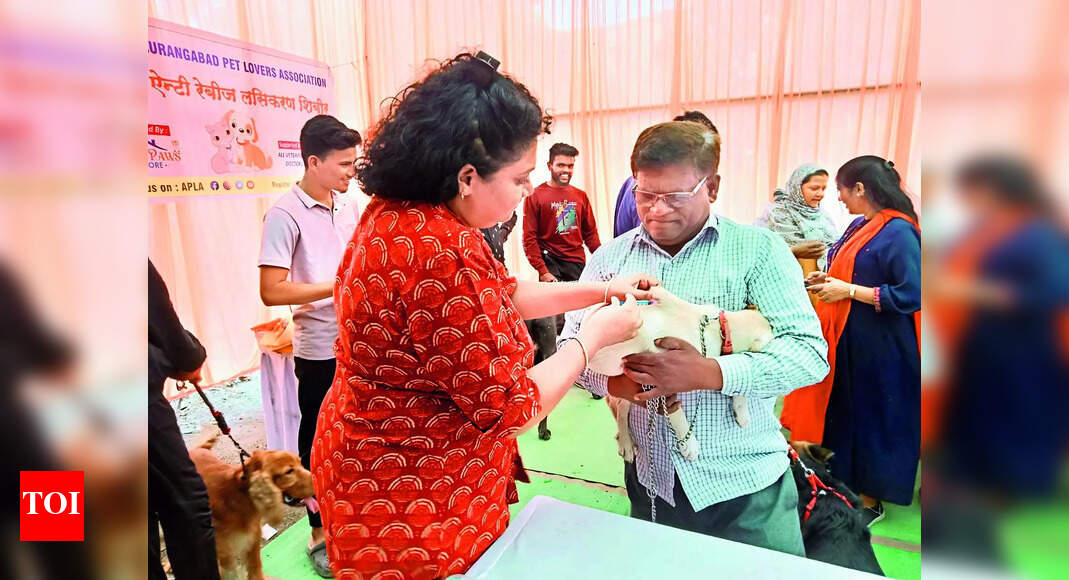 Vaccination: Ngo Holds Anti-rabies Vax Camp In Sambhajinagar | Aurangabad News - Times of India