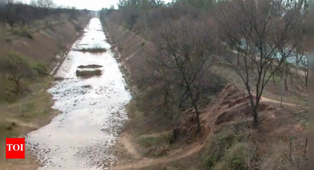 Water Sharing: 122-km-long mess: SYL has caused damage that seems ...