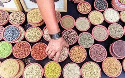 Millets Mela: Millets Mela Opens Today In Hubballi, To Display ...
