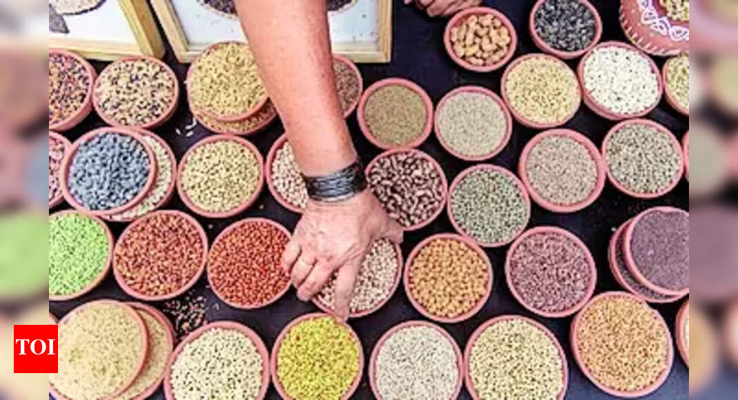 Millets Mela: Millets Mela Opens Today In Hubballi, To Display ...