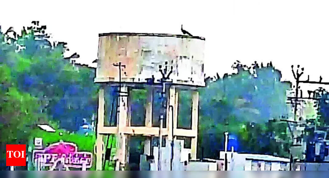 Water Tank: Bones In Water Tank Create Flutter In Village | Coimbatore ...