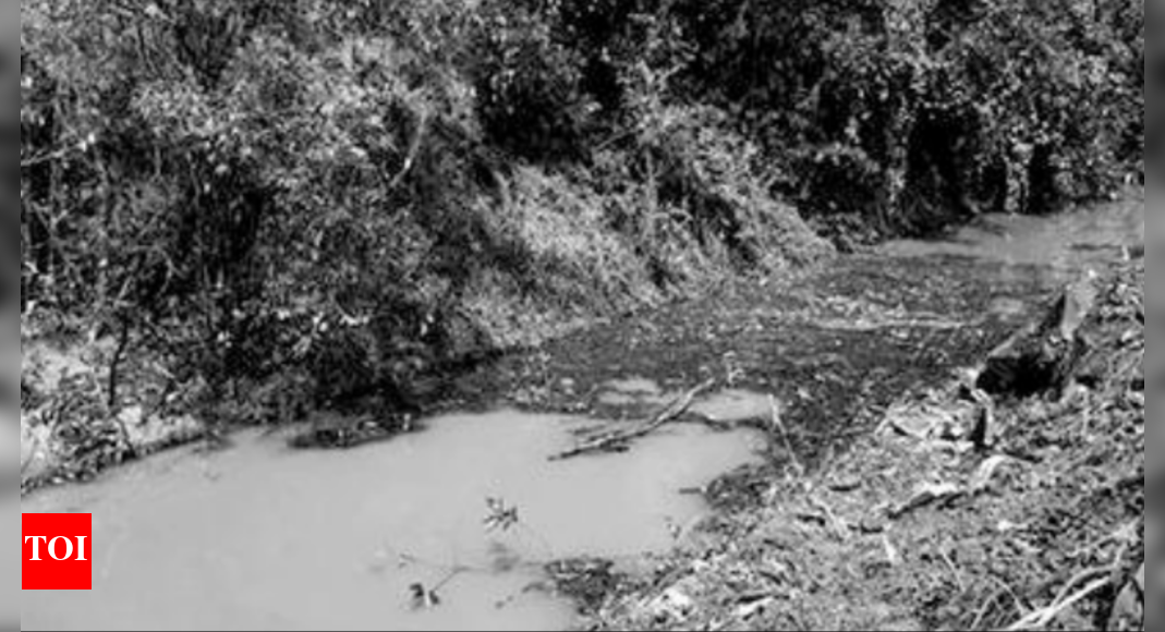 Repair of Tillari canals’ deferred due to National Games | Goa News ...