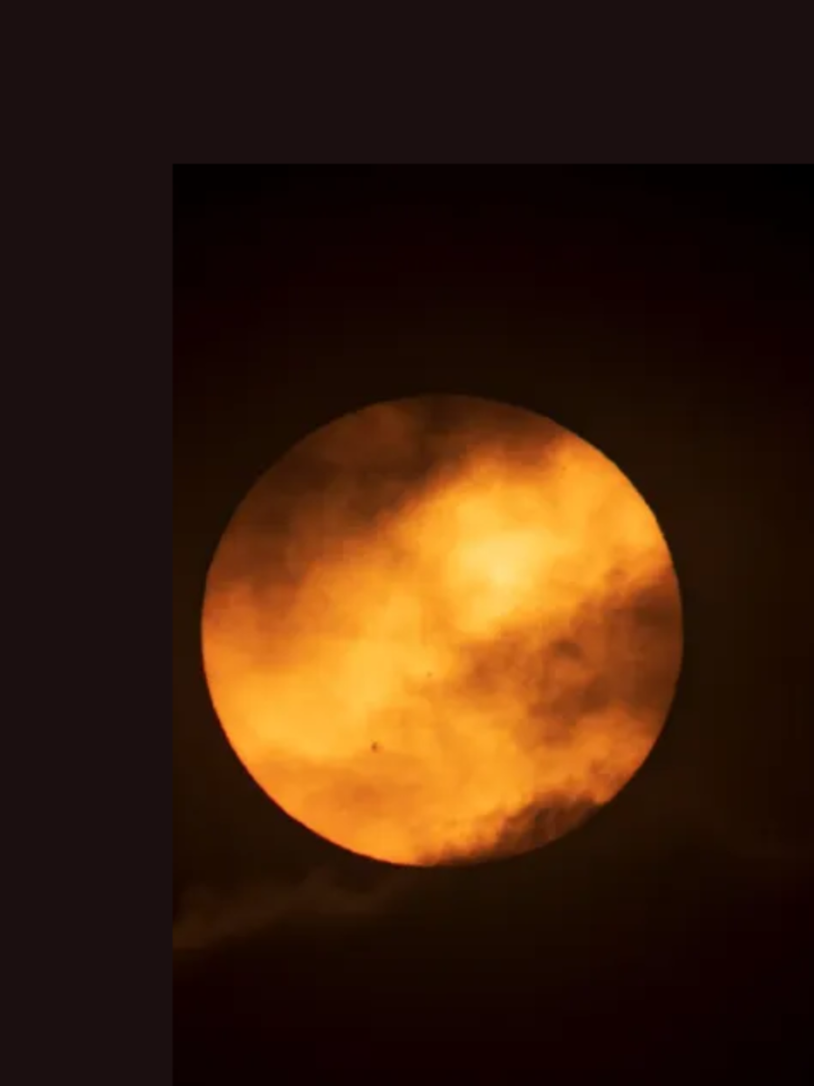 7 Pictures Of October 2023 Solar Eclipse | Times Now